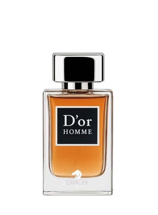 D'or Homme, Eau De Parfum, For Men, 100 ml - Bixoto.com