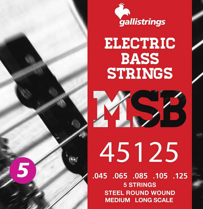 String Set Electric 5-String Bass, Steel Medium, 0 - Bixoto.com