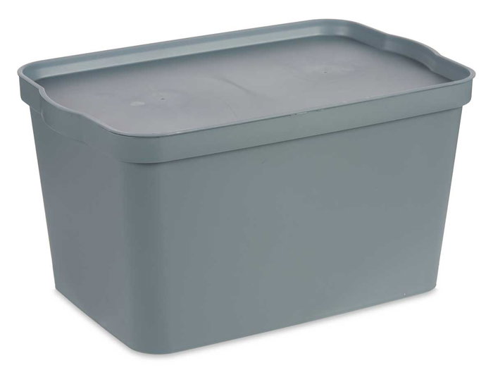 Kipit Boîte de Rangement Plastique avec Couvercle 24L Gris 29,3x24,5x45 ...