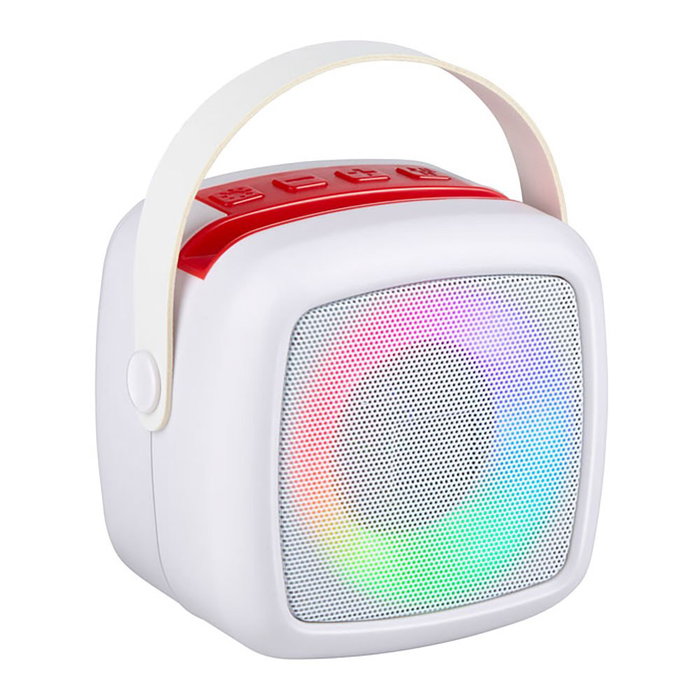 Basics Ensemble Karaoké Bluetooth 5.4 Portable 10W avec 2 Micros Sans ...