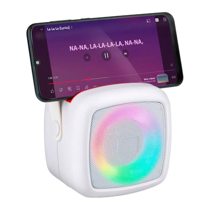 Basics Ensemble Karaoké Bluetooth 5.4 Portable 10W avec 2 Micros Sans ...