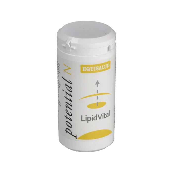 Equisalud Lipidvital 60 gélules - Complément alimentaire régulation ...